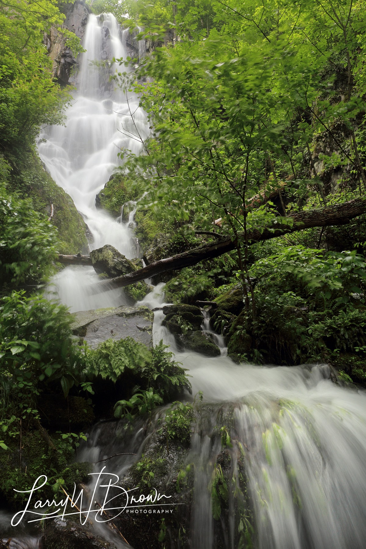 Shenandoah National Park Waterfalls Guide: Lewis Falls