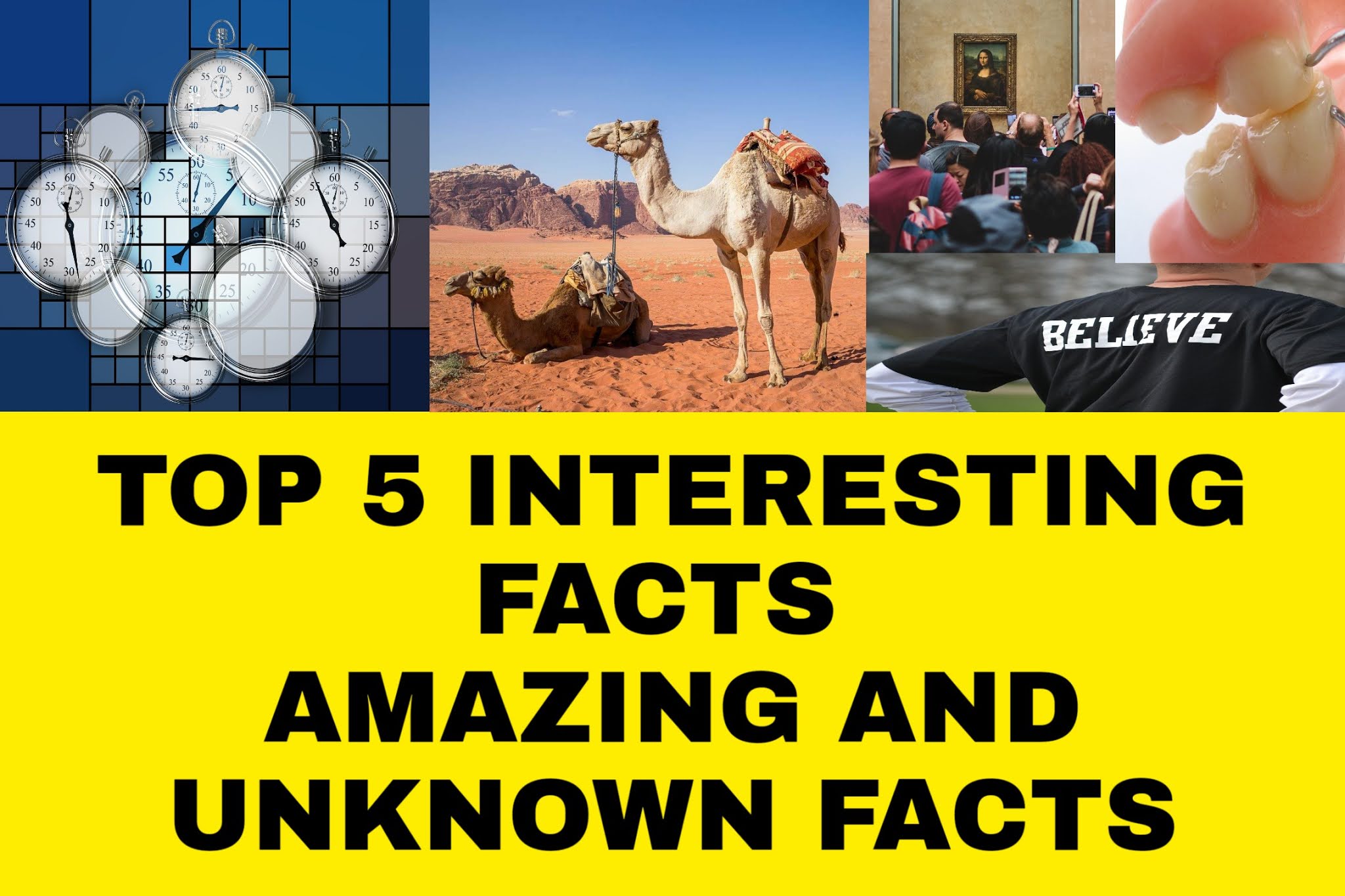 Top interesting facts || Amazing And Unknown facts