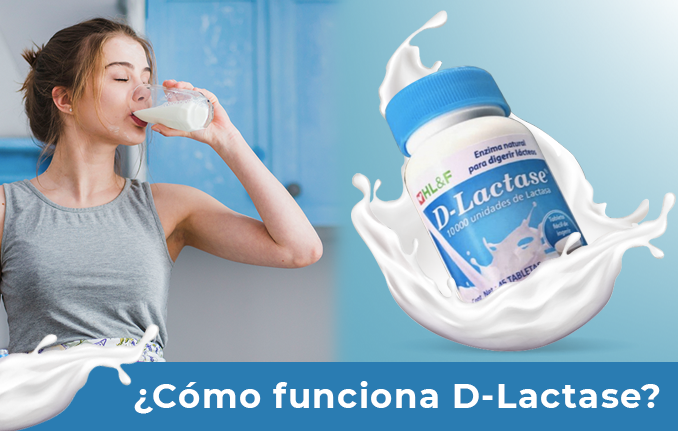 ¿Cómo funciona D-Lactase?