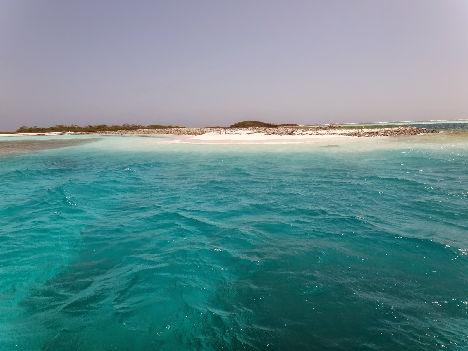 GUIA DE LOS ROQUES: Entenda o Arquipélago e sua Dinâmica | Apaixonados ...