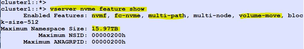 Remote Infrastructure Management: NetApp ONTAP 9.7 NVMe Configuration ...