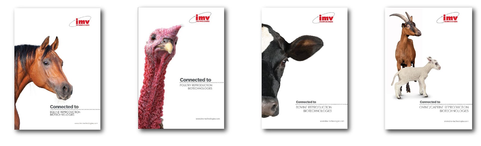 Sarah MELOT MAUSSIRE designer