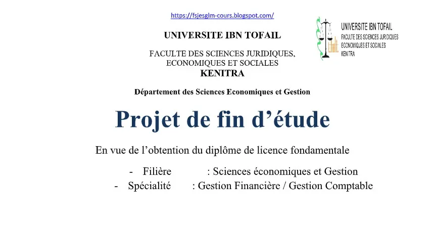 Projet fin d'étude création de l'entreprise PFE