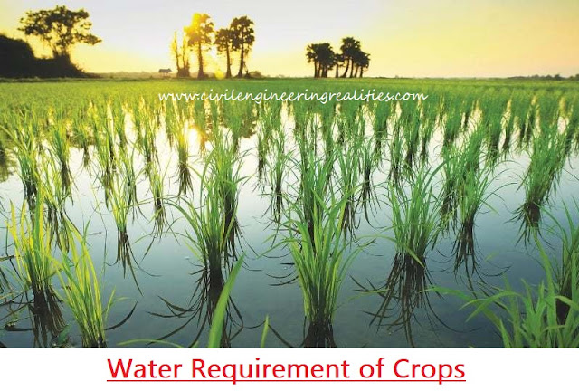 Water Requirement Of Crops Delta And Duty Of Water Water Requirement Of Crops Delta And Duty Of Water