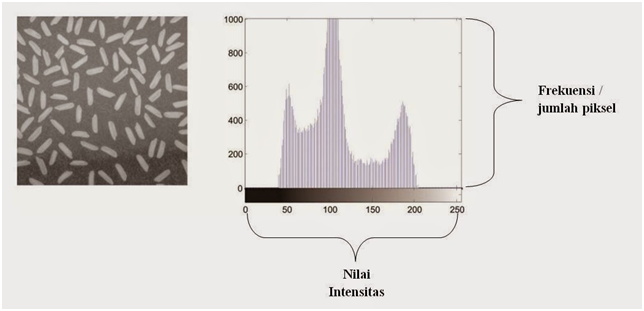 Image Enhancement Histogram (Citra Digital)