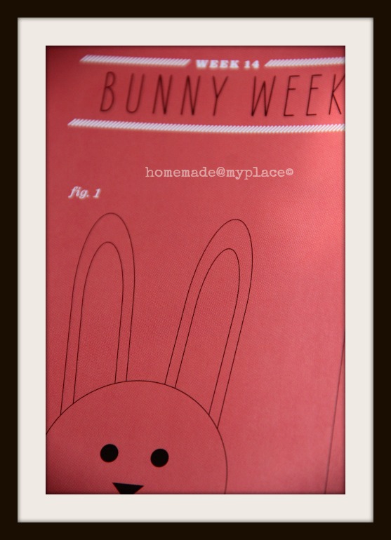 Craft-A-Day : Bunny Week