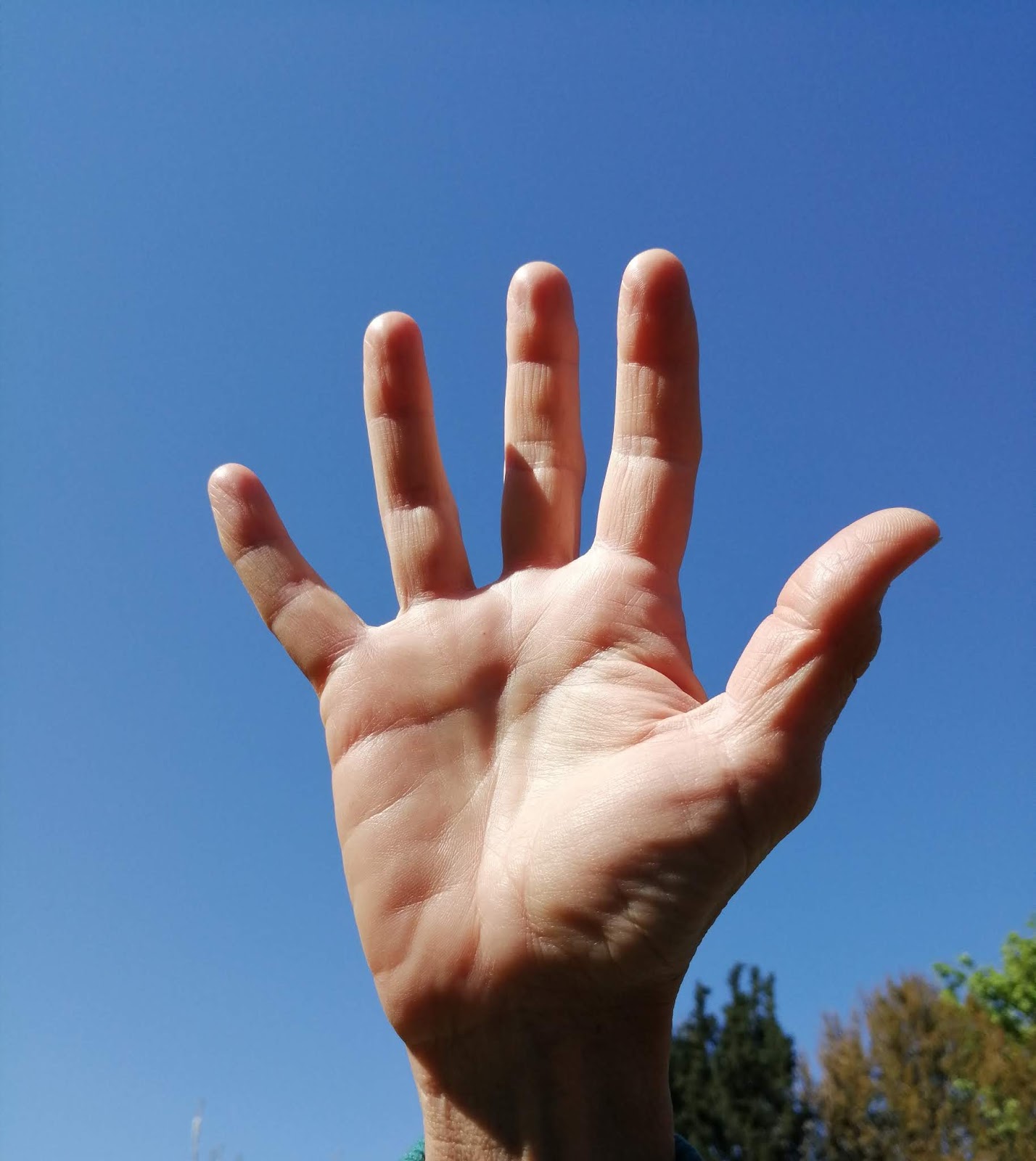 Canon Jo blogs: Wave to each other