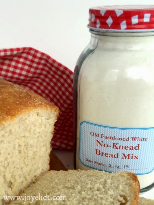 DIY No-Knead BREAD MIX: The frugal farm girl's ready-made mix series ...