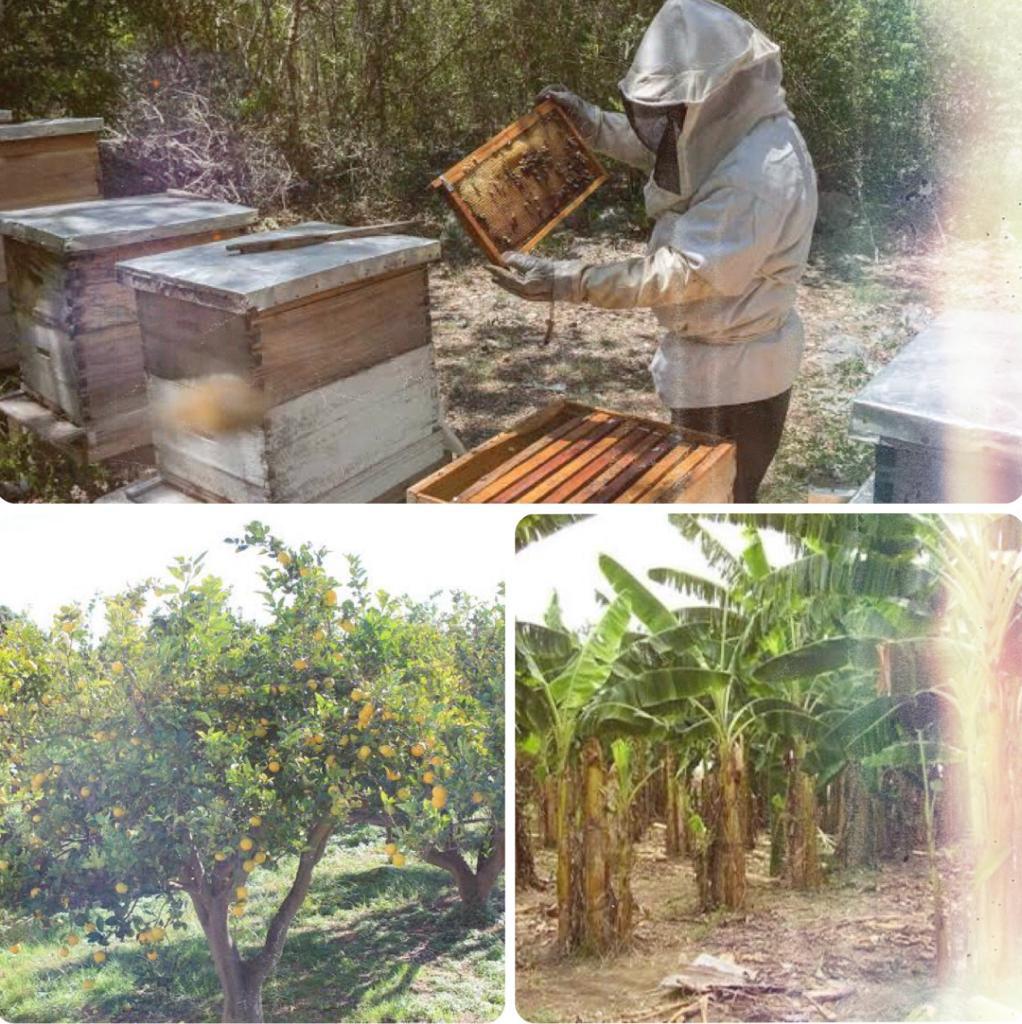 YO SOY ESTEBAN... ESTA ES MI VIDA (8)