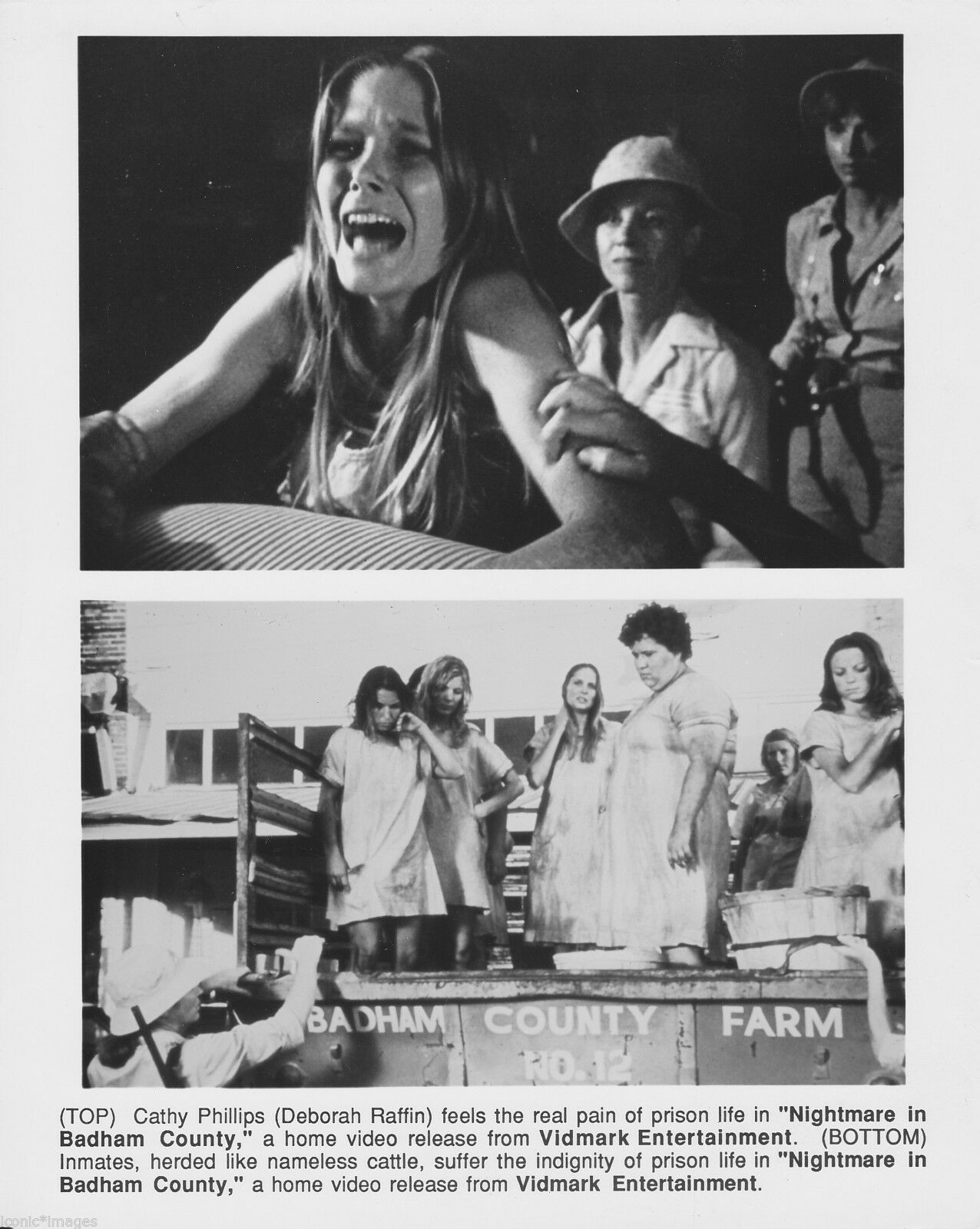 The Oak Drive-In: NIGHTMARE IN BADHAM COUNTY 1976