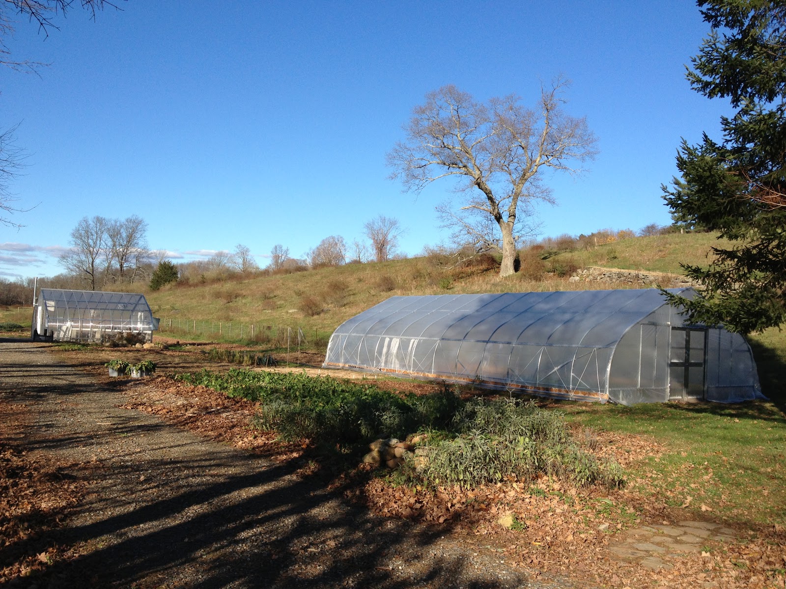 EcoHouse at Spring Valley Student Farm: Emergency Update