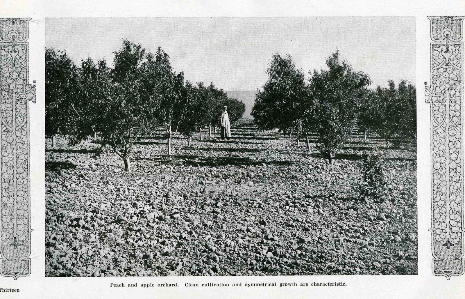 Bygone Walla Walla: vintage images of the City and County (and beyond ...