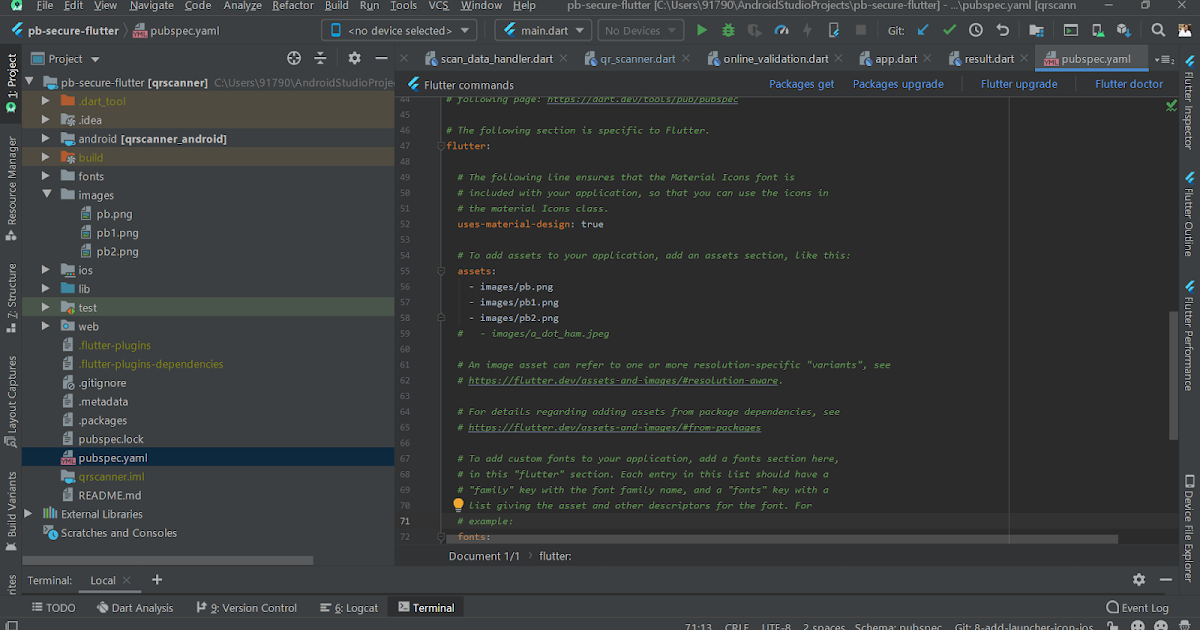 How to use Images in flutter?