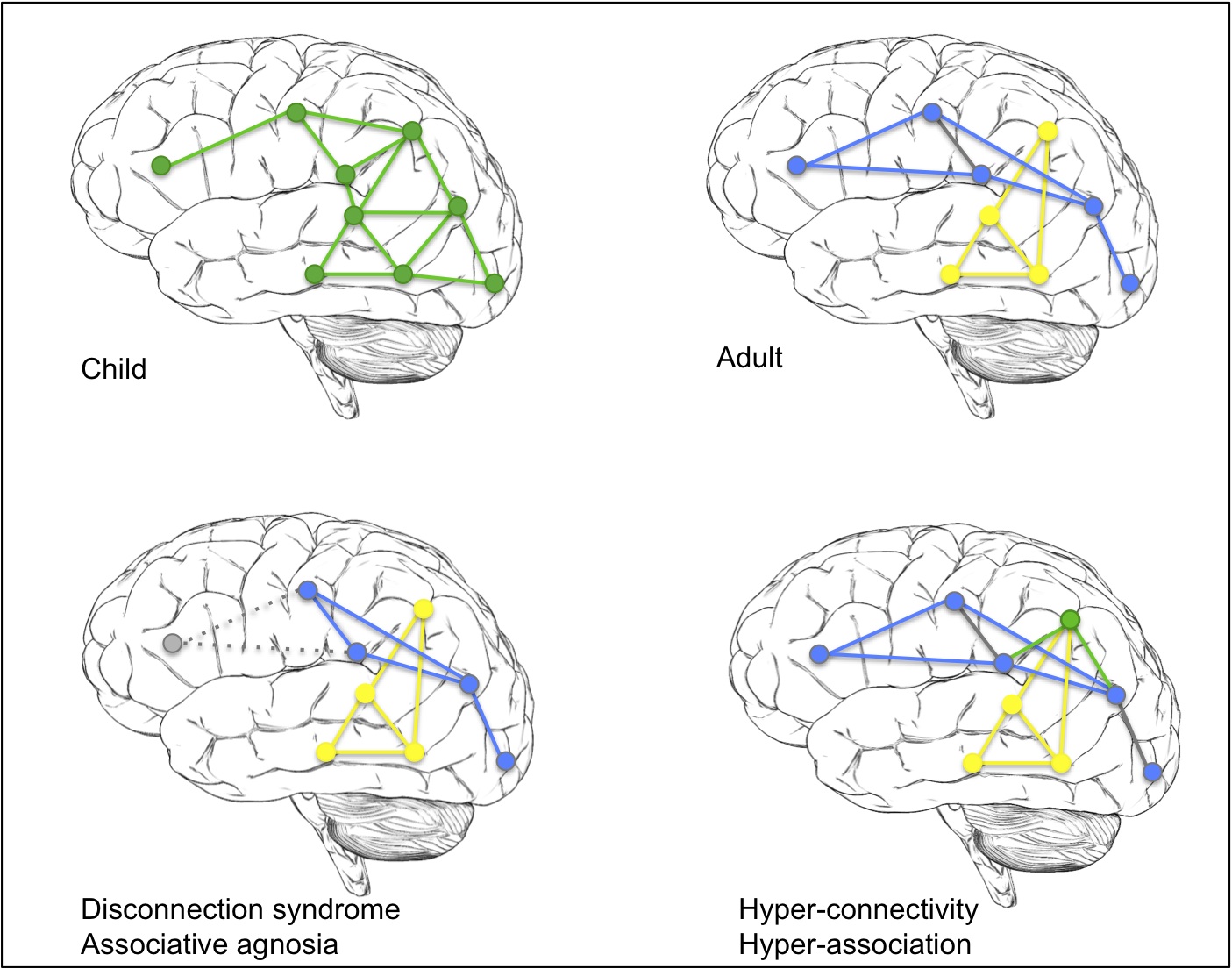 Wiring the Brain: September 2012