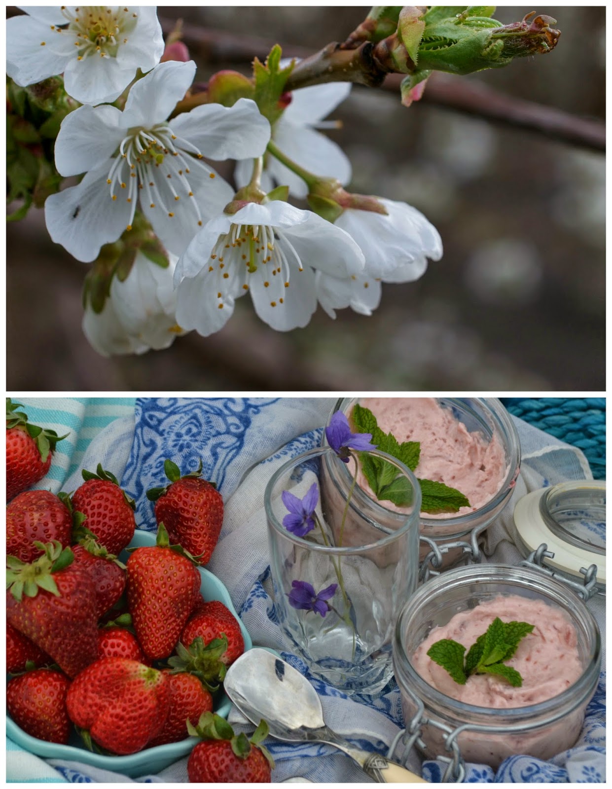 more than burnt toast: An Impromptu Spring Picnic on a Wanderlust Day