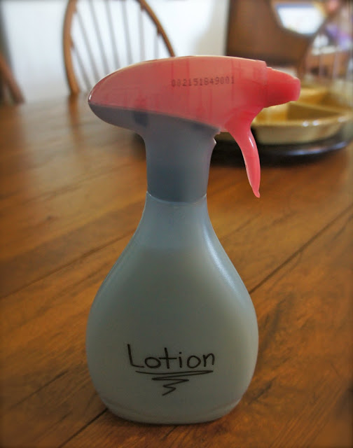 Trendy TreeHouse: Sprayable Lotion | A Tutorial