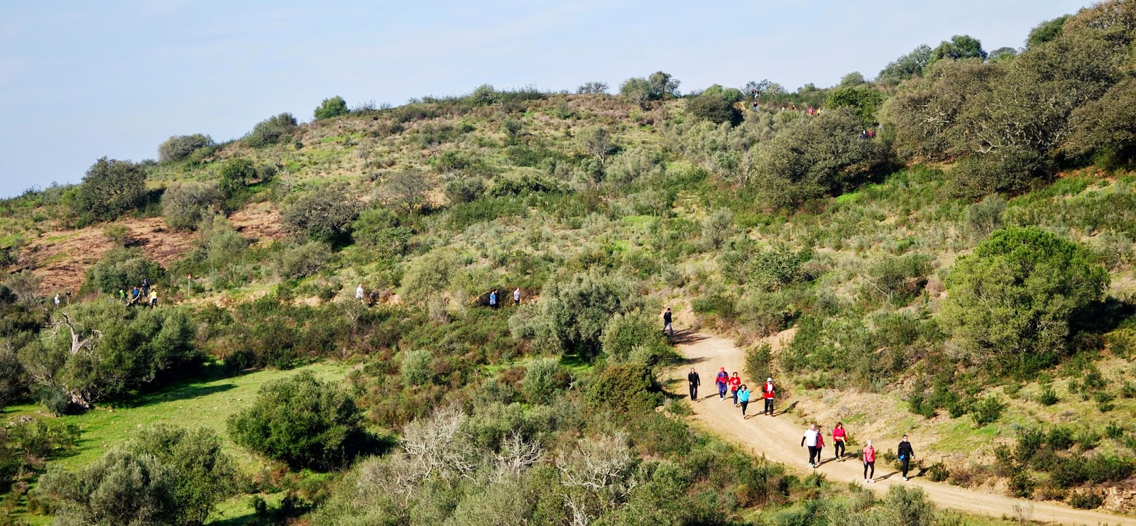 MARCHAS NO ALGARVE: MARCHA DO AZINHAL - 21-12-2014