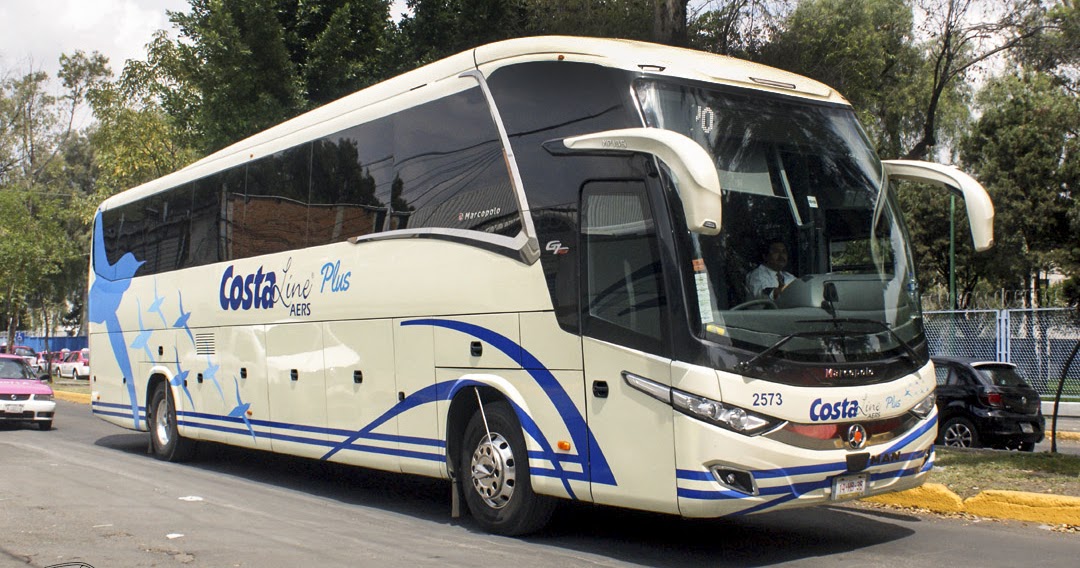 MAXIBUSES: COSTA LINE PLUS