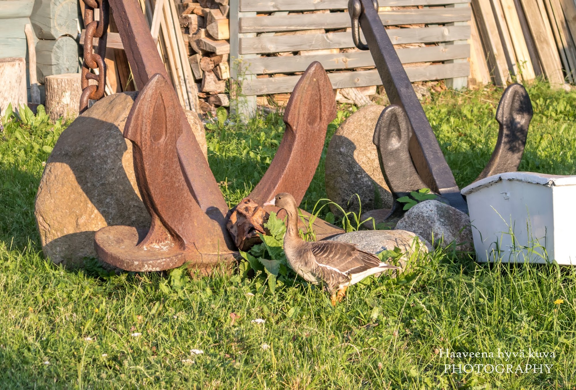 Haaveena hyvä kuva: Toila sadam - Viro