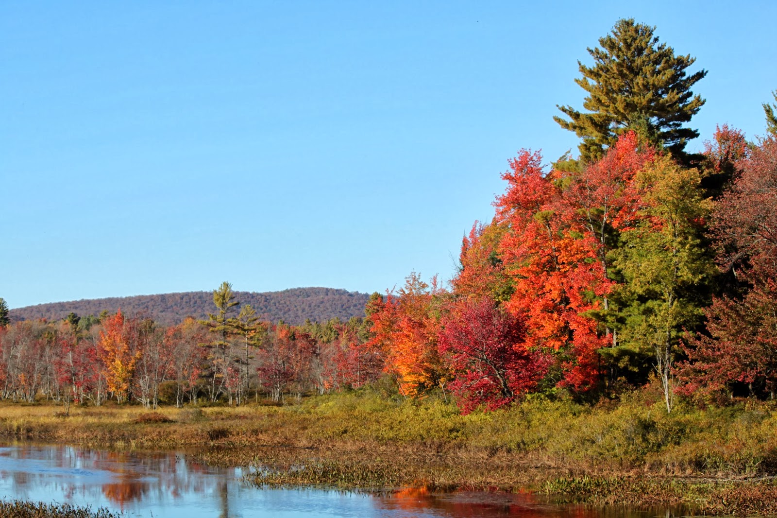 52 FLEA: Autumn in the Adirondacks