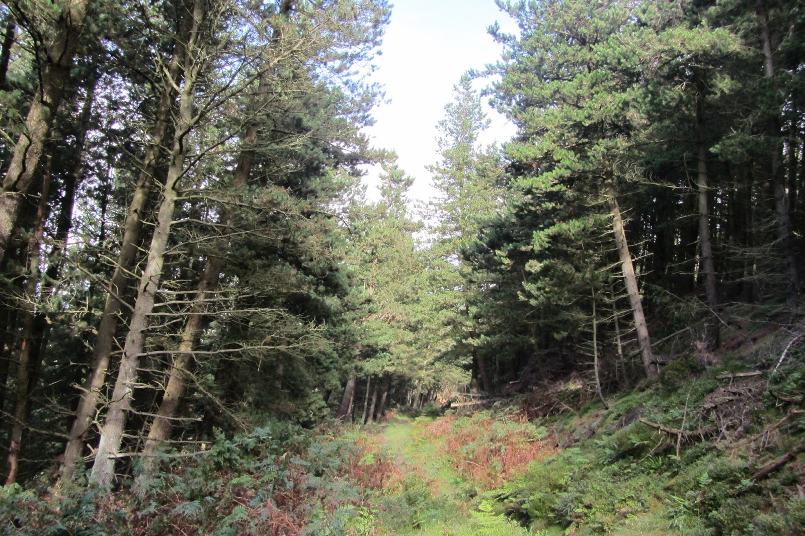 A J Thorley Mountaineering: Simonside Hills, Northumberland. 17th ...