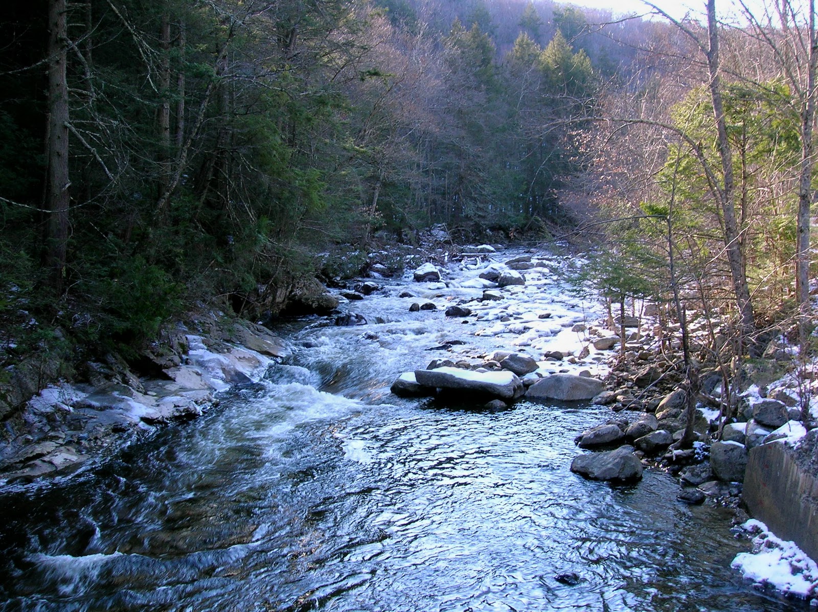 Small Stream Reflections: Mid January, Shelf Ice, and Streamers