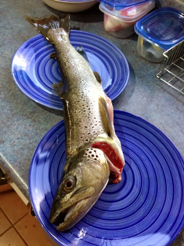 Katya Crema: Blissful Wanaka