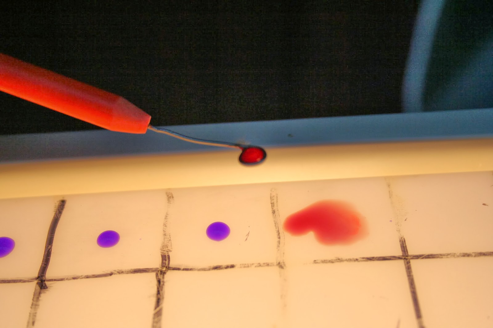 Chicken Scratch Poultry: NPIP - National Poultry Improvement Plan