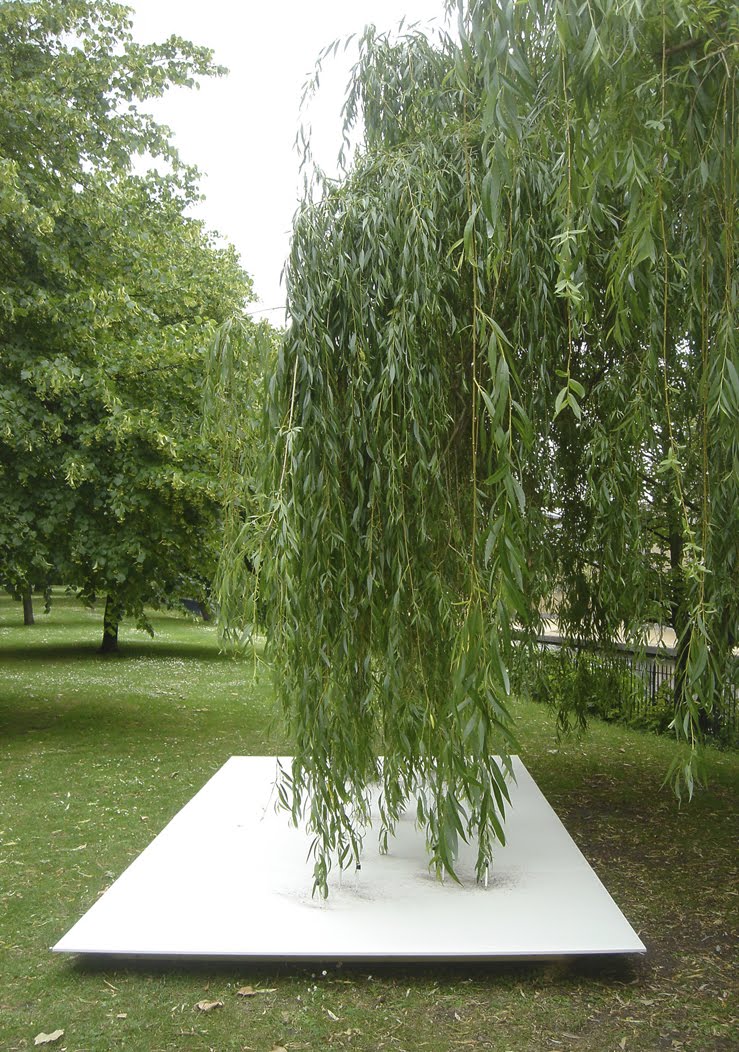 Oh, by the way...: BEAUTY: Art--Tim Knowles