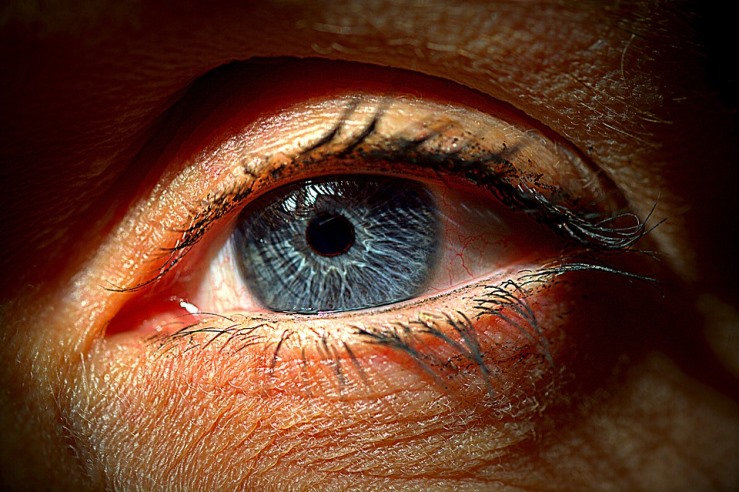 Makeup Tips For Aging Eyes That Can Help Beauty Cooks Kisses