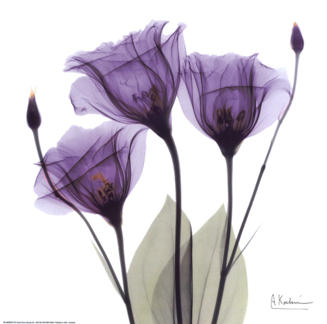 .: Albert Koetsier Beyond Light