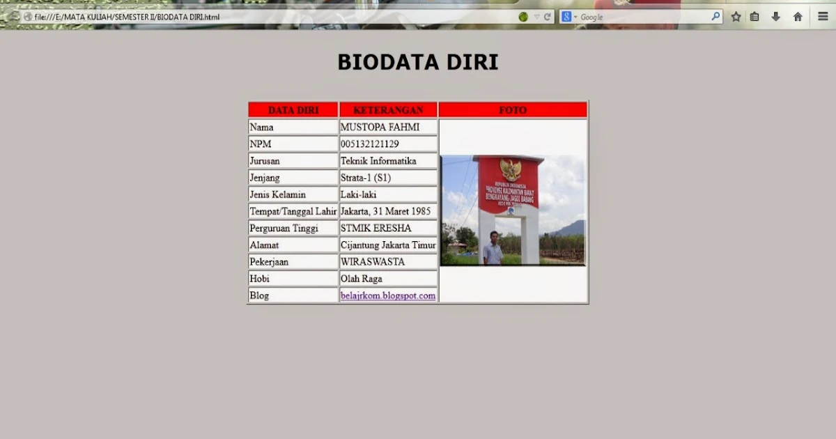 Membuat Biodata Dengan Javascript Cara Mudah Membuat Biodata Diri Html ...