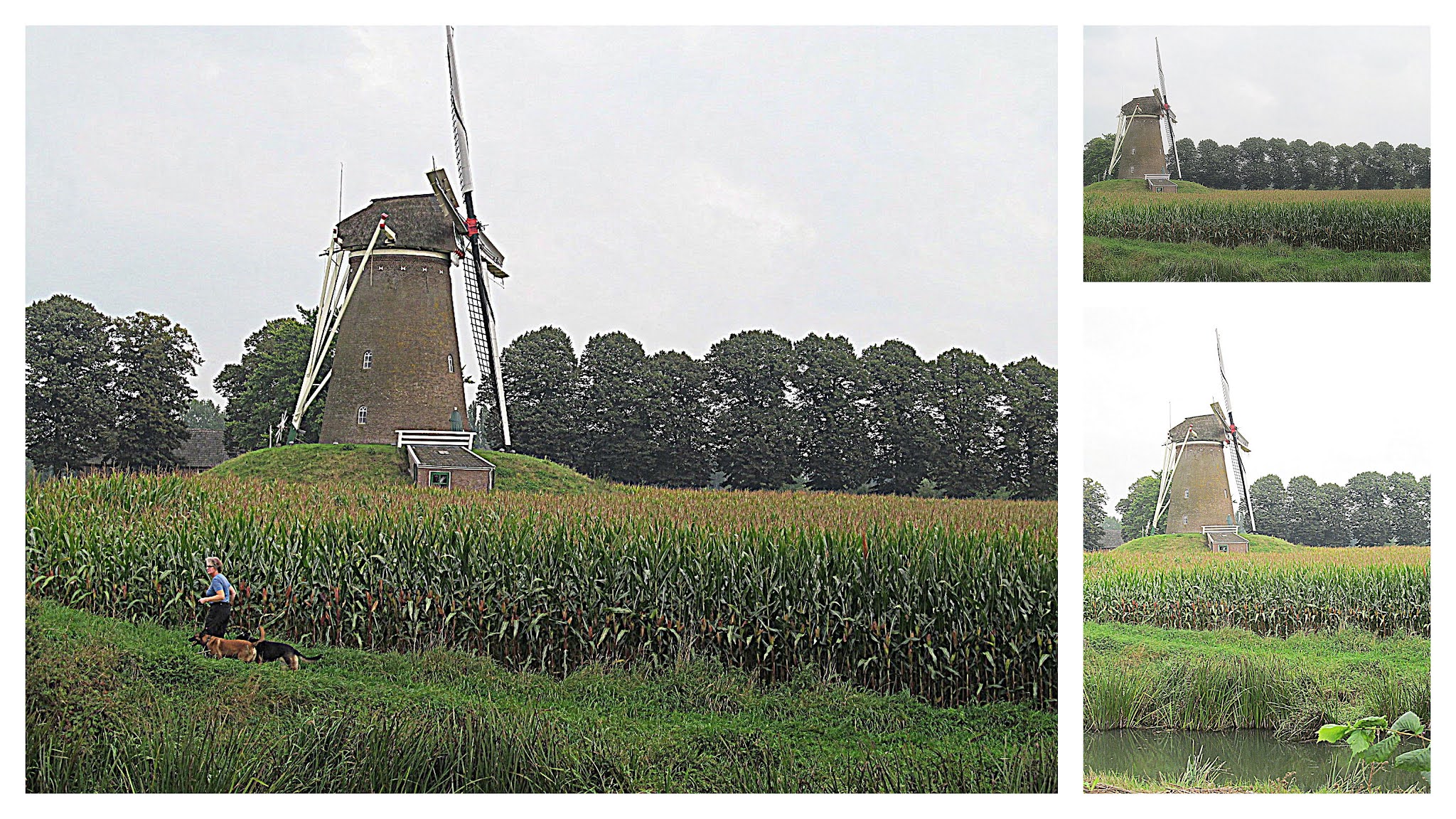 Hoorn Des Overvloeds