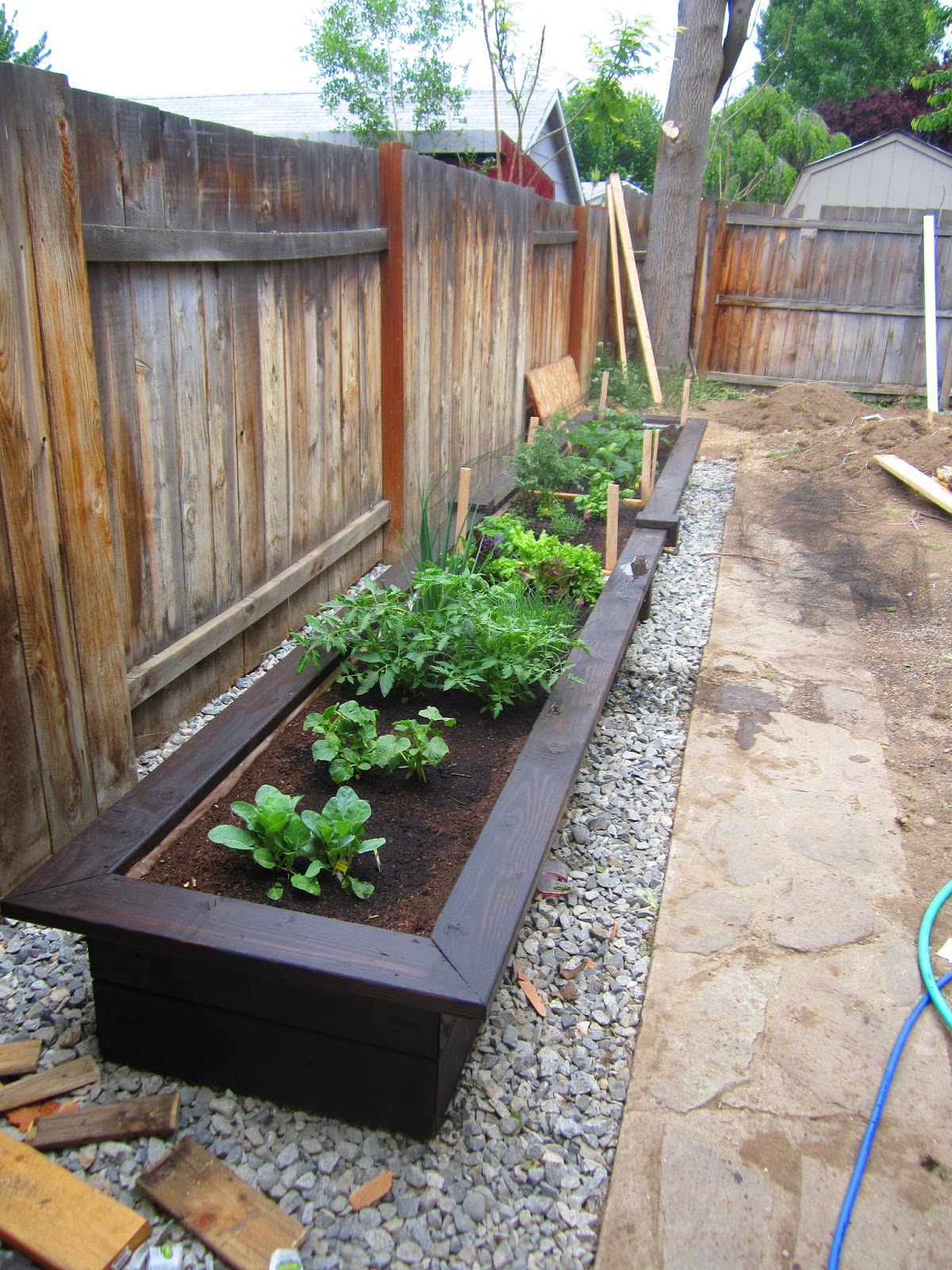 The Backyard Boom | TP&Co.