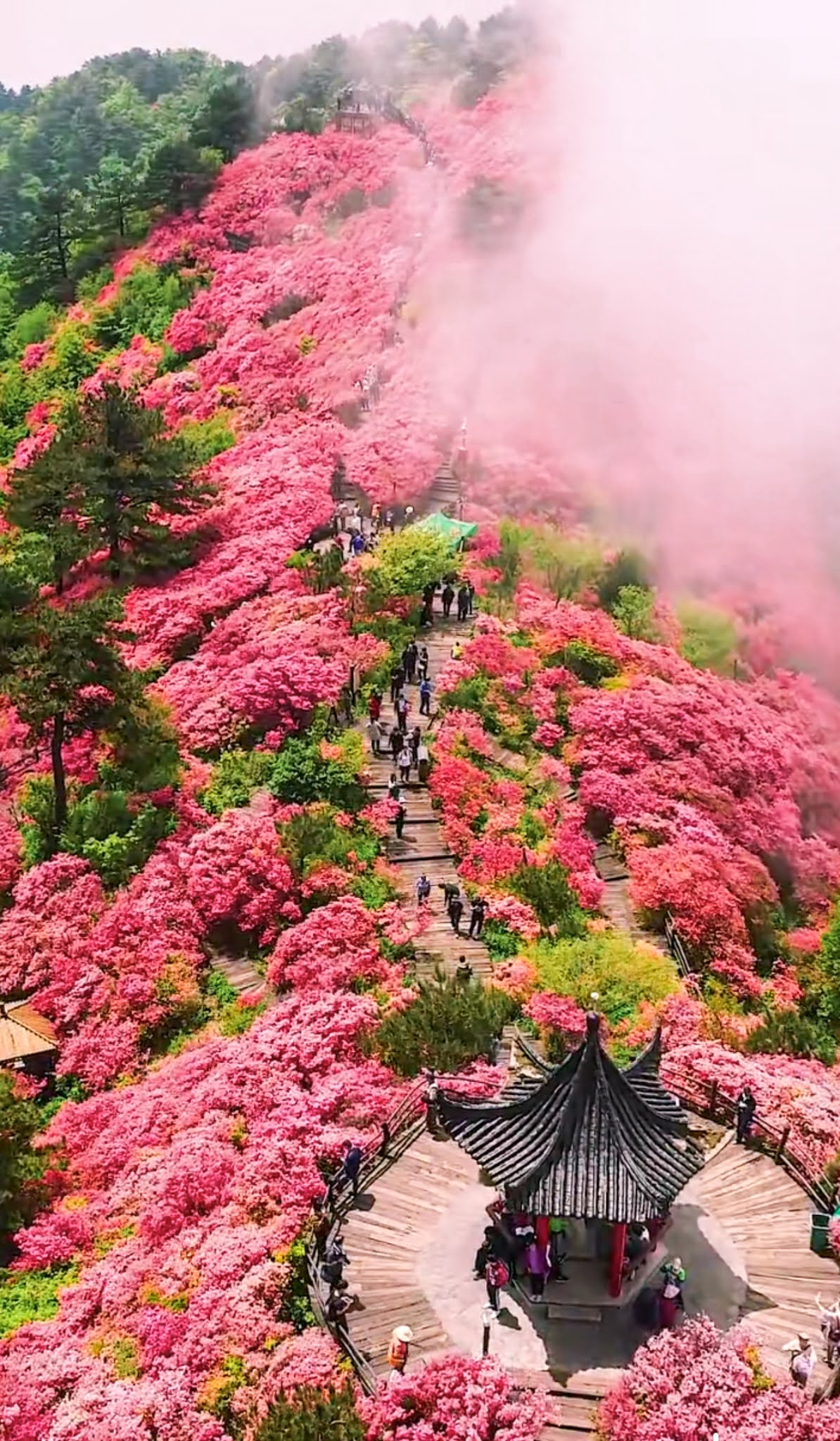 How to take beautiful scenery Photography pictures?come to see my skill ...