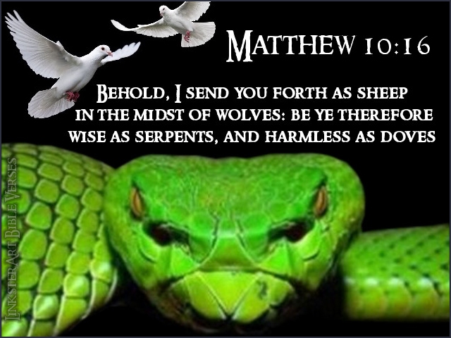 DAILY BIBLE VERSE - AUGUST 19, 2013 | Linkster - Signs of the Times