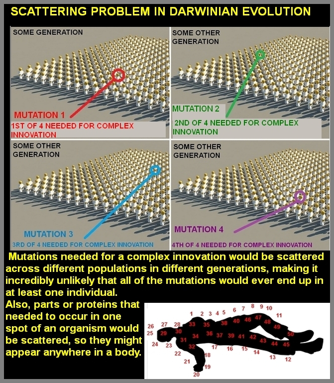 Head Truth: Why We Do Not Understand the Origin of Complex Biological ...