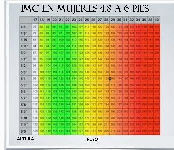 EL INDICE DE MASA CORPORAL –IMC– | Adios a ser Gordo