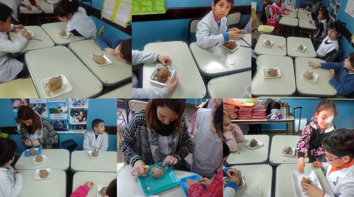 Escuela 22 DE 7º: El Loco Lope en 1° A