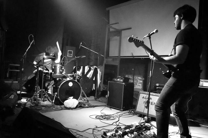 Le INTERVISTE dell'Electric Duo Project: 212. Il volo degli ALCA IMPENNE