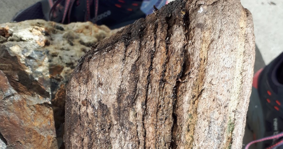 Coldstream Corner: Two "Delicious" Rocks