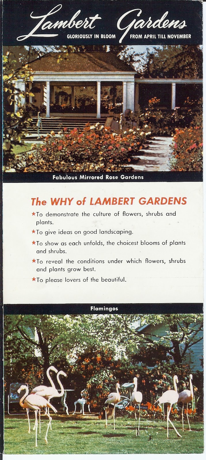 Beech Street Gardens: Lambert Gardens Late 20's to 1968