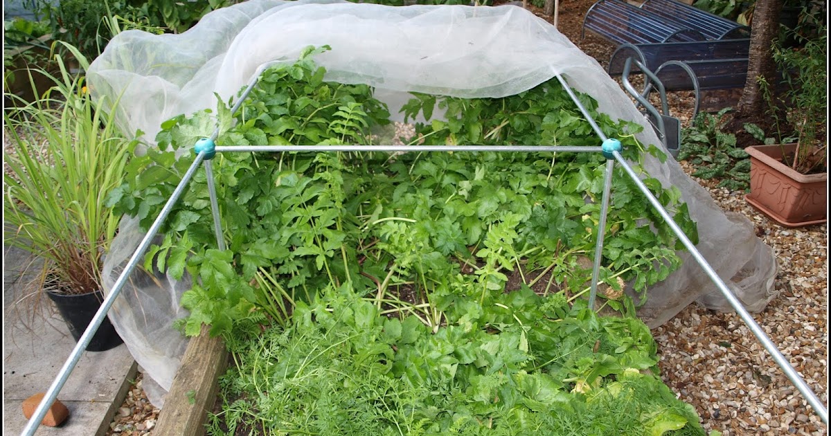 Mark's Veg Plot: Furtling