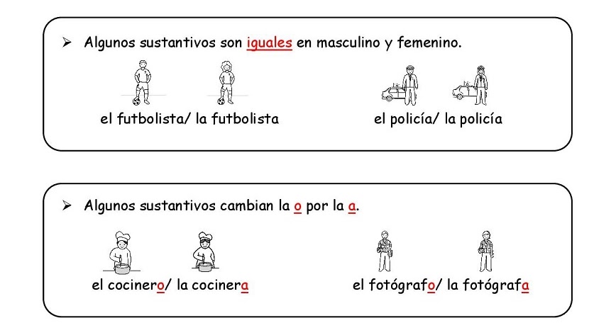 Cositas de AL y PT: El género de los sustantivos 02