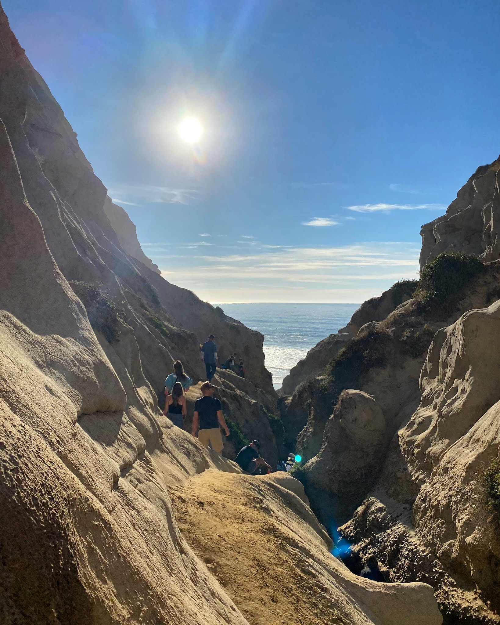 Sensory Overload: Saigon Trail Hike on New Year's Day (Black's Beach)