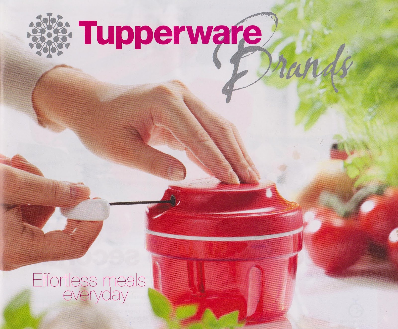 Unique Tupperware Brands