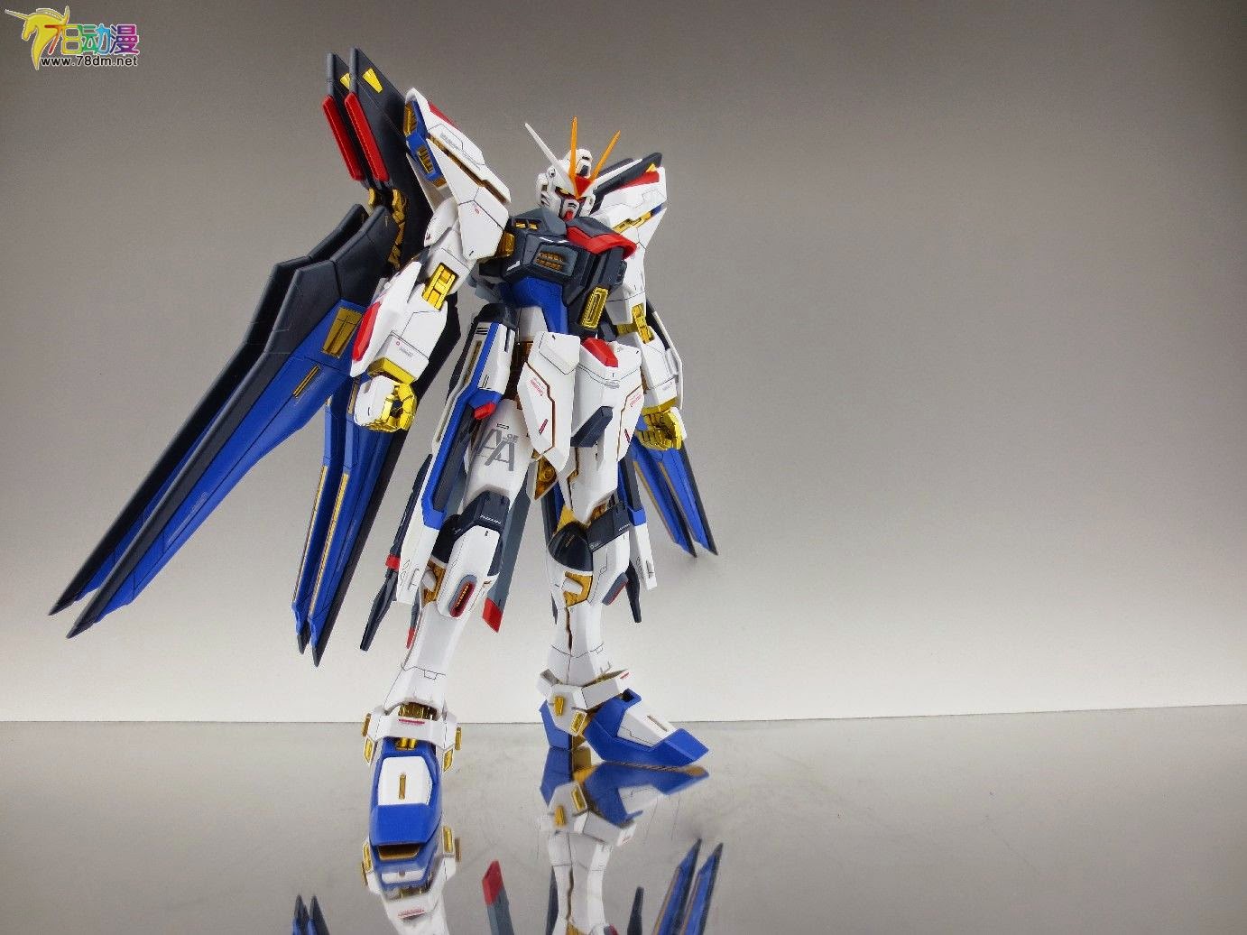 Gundam Family: MG 1/100 Strike Freedom Gundam Custom Build
