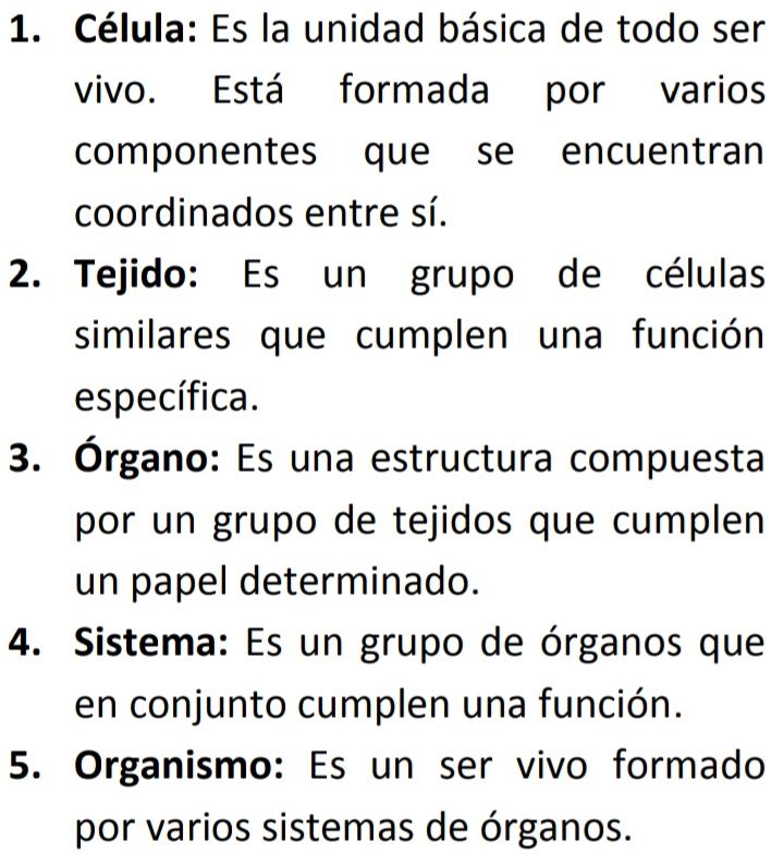 Magda Agudelo 2021 4-A: Niveles de organización celular