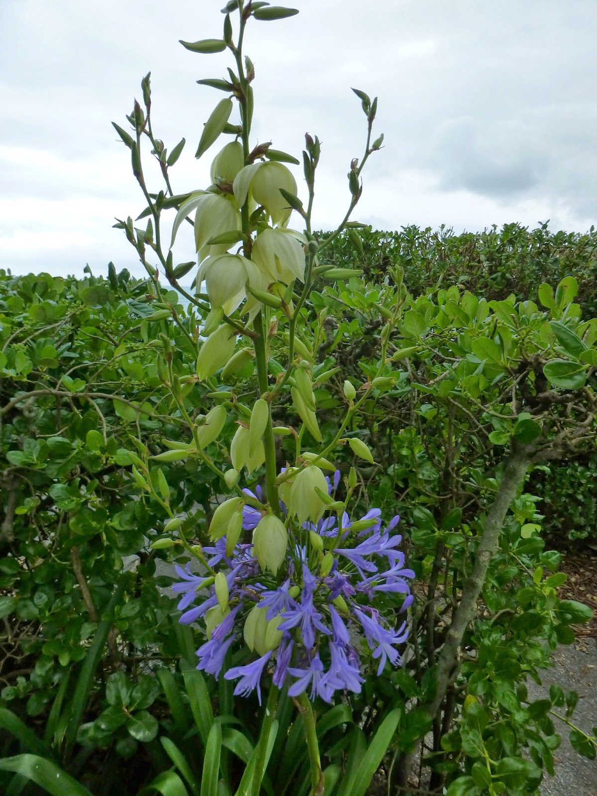 Another Day in New Zealand: Whiting Christmas: Part 2 - Kaikoura