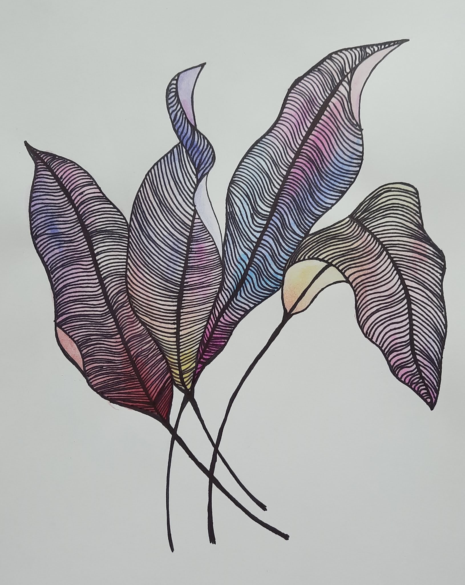 a faithful attempt: Watercolour, Pen & Ink Plant & Mushroom Paintings